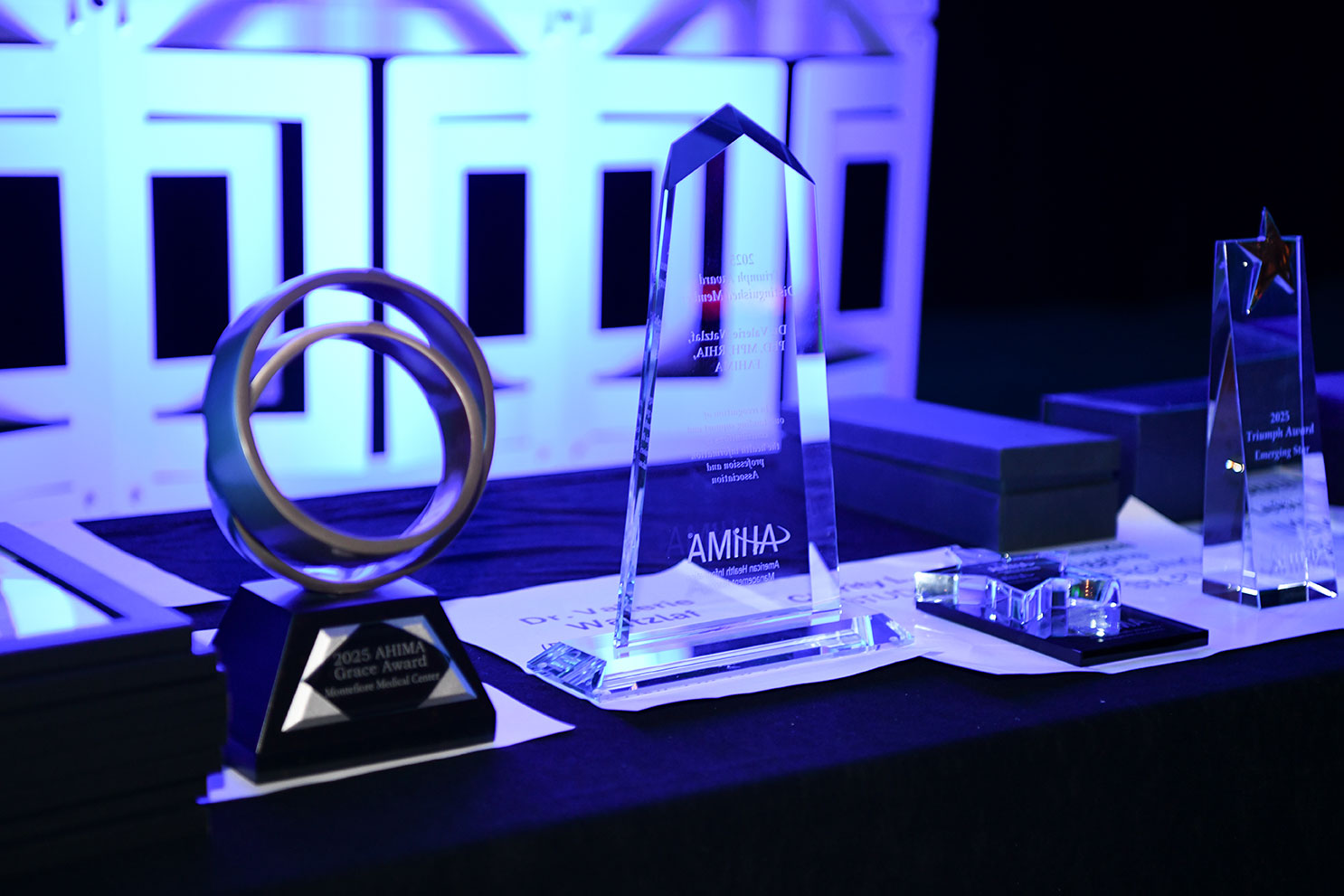 AHIMA Recognizes, Celebrates Excellence in Health Information