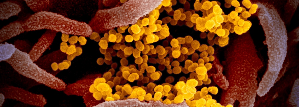 COVID-19 Resources for HIM Professionals